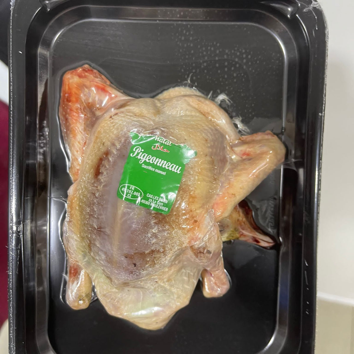 Halal poultry meat grocery: Order French Halal Pigeon 1pcs | Grocery ...