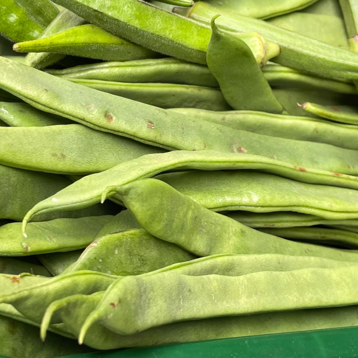 Flat Beans 500g – MyJam Food