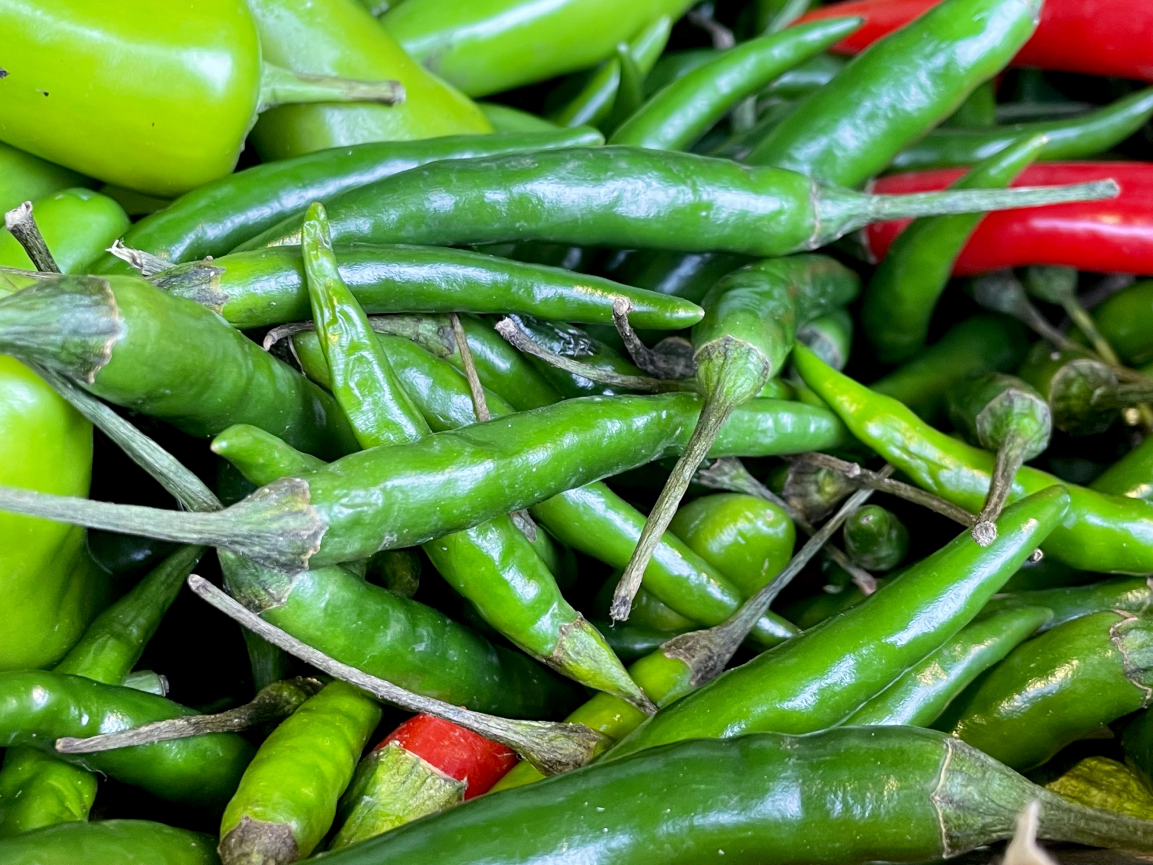 Indian Chilli Pepper 500g – MyJam Food