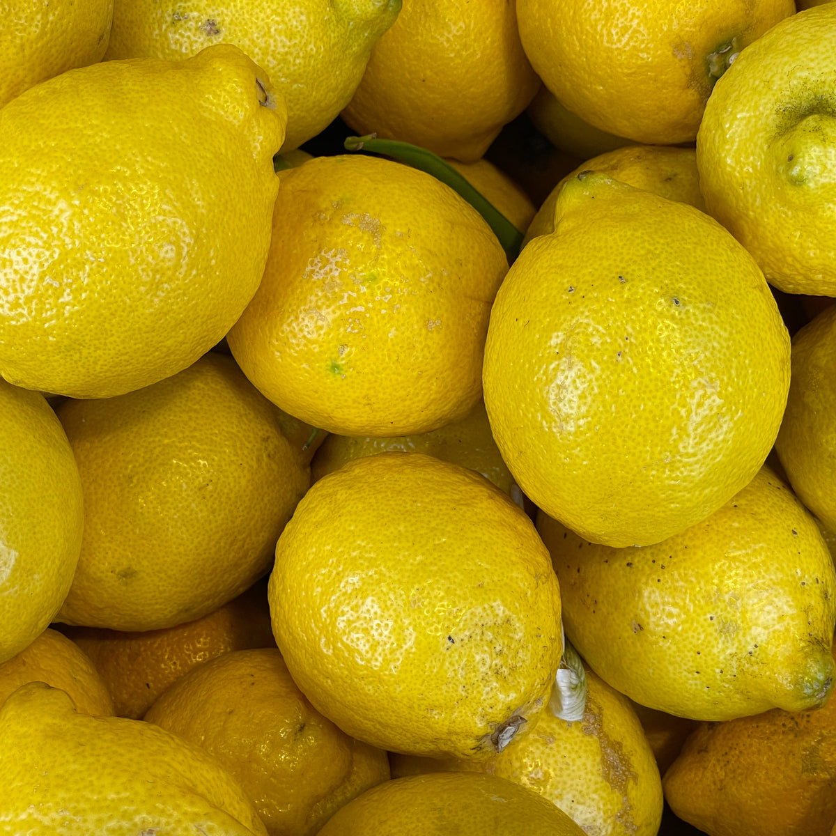 Lemon Each – MyJam Food