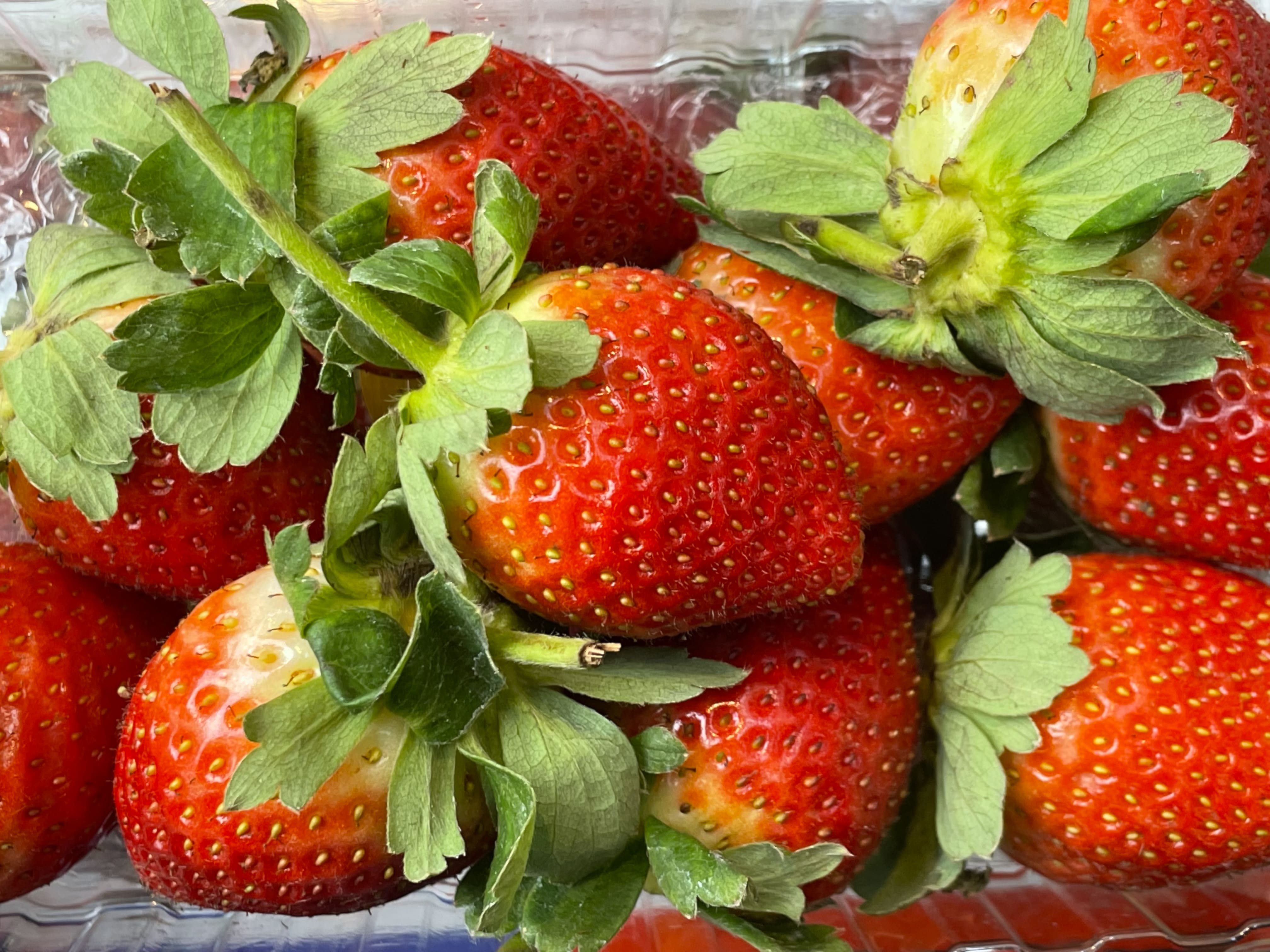 Strawberry Pack 250g – MyJam Food