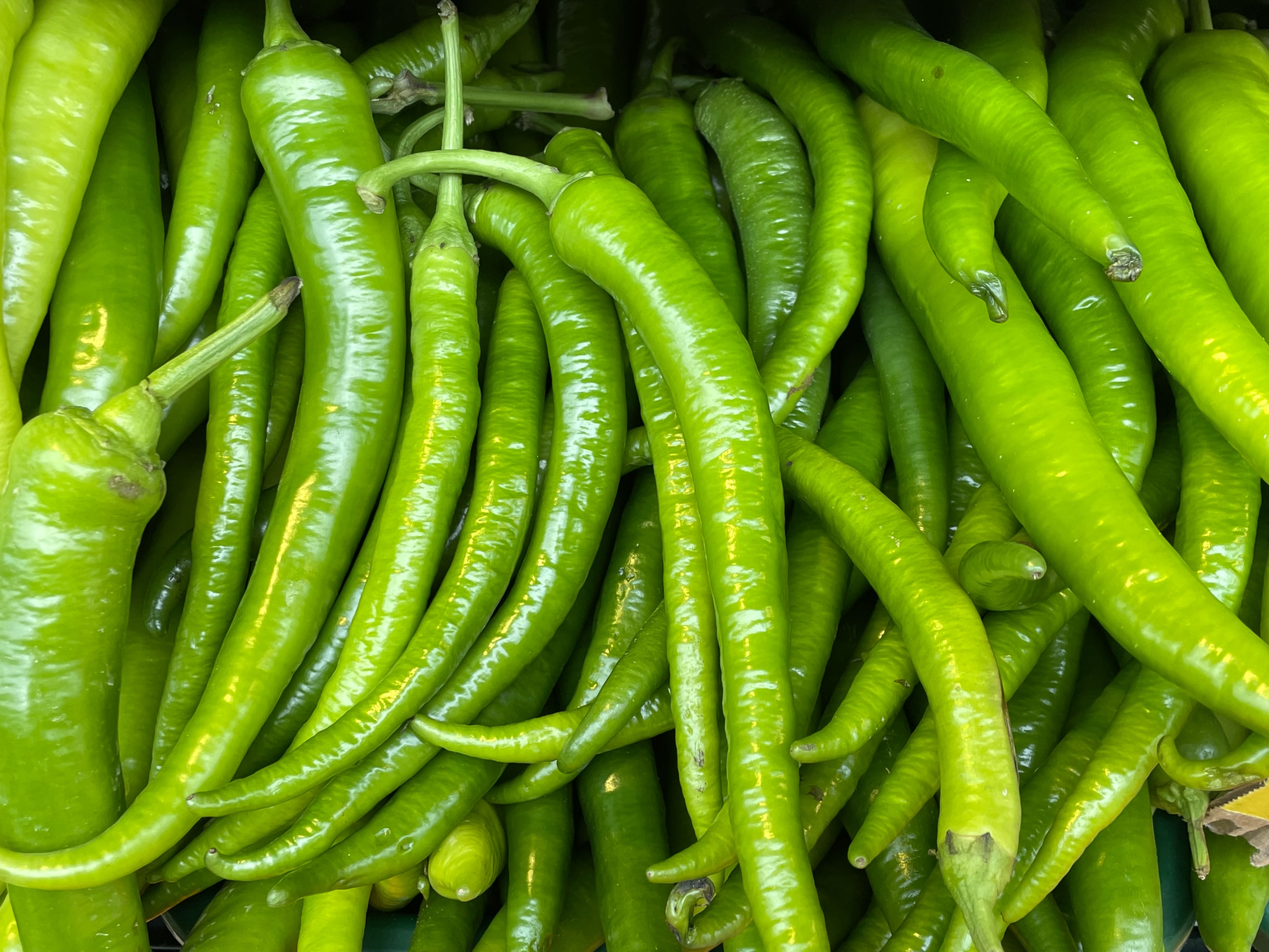 Turkish Chilli Pepper 500g – MyJam Food