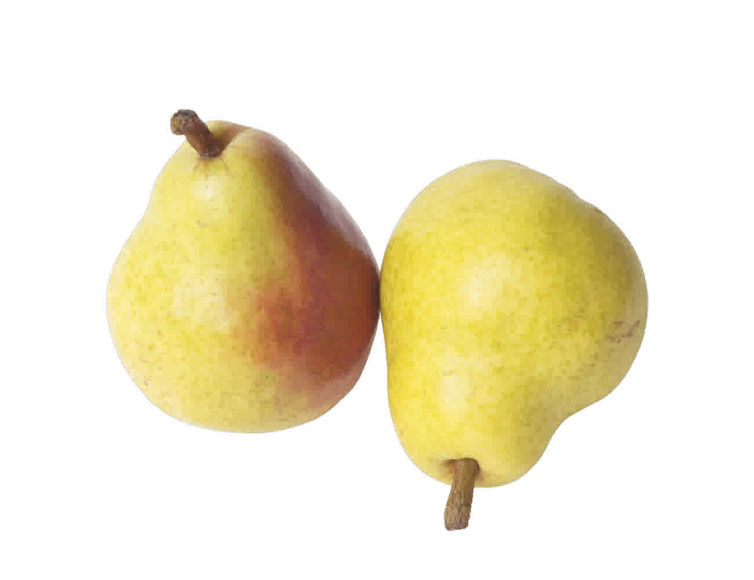 Turkish Pears 500g – MyJam Food